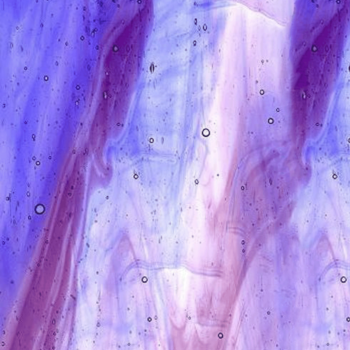 Purple (806), Blue (607), Clear