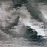 Spectrum Stained Glass Sheets | Spectrum Glass